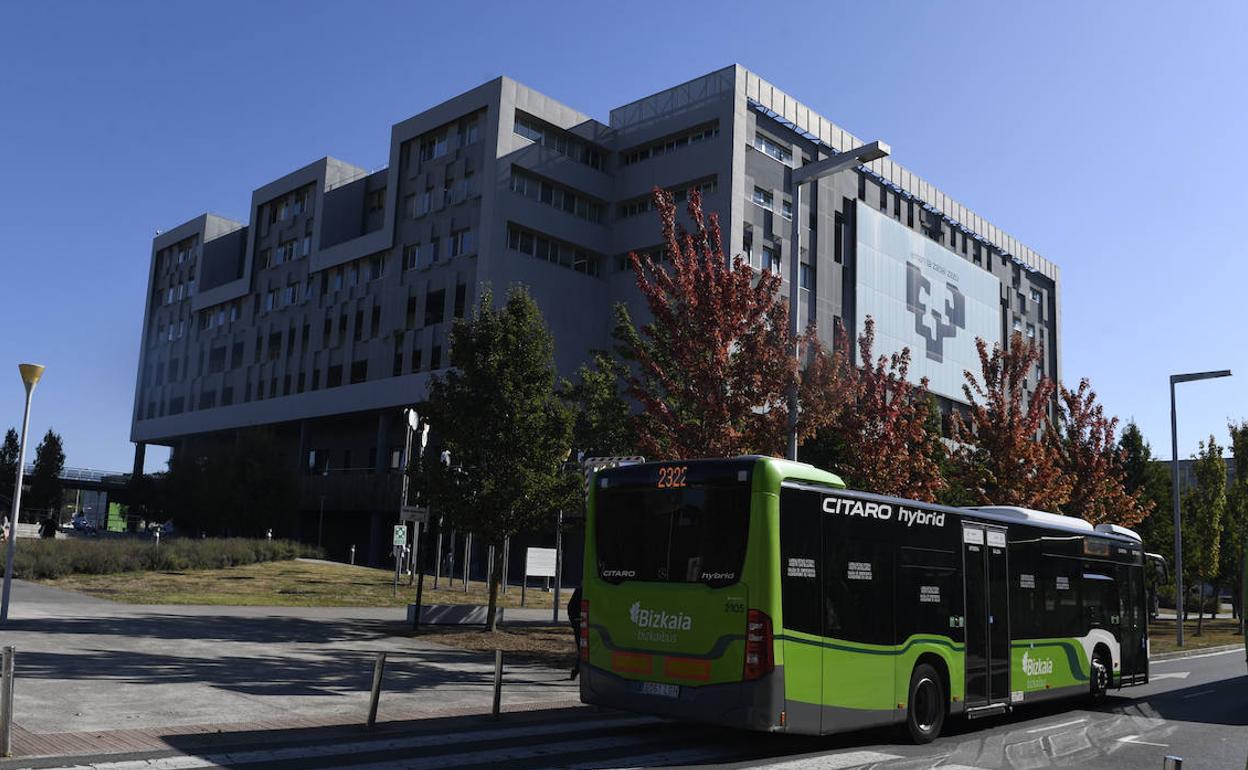 La UPV/EHU ofertará un total de 107 grados el próximo curso | El Correo